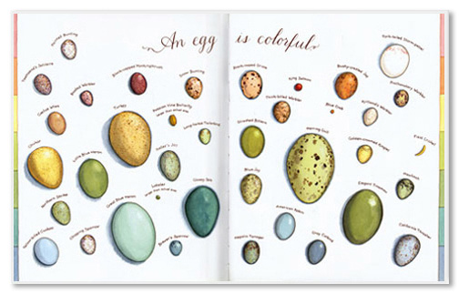 The best picture books for spring - Talk Wordy to Me